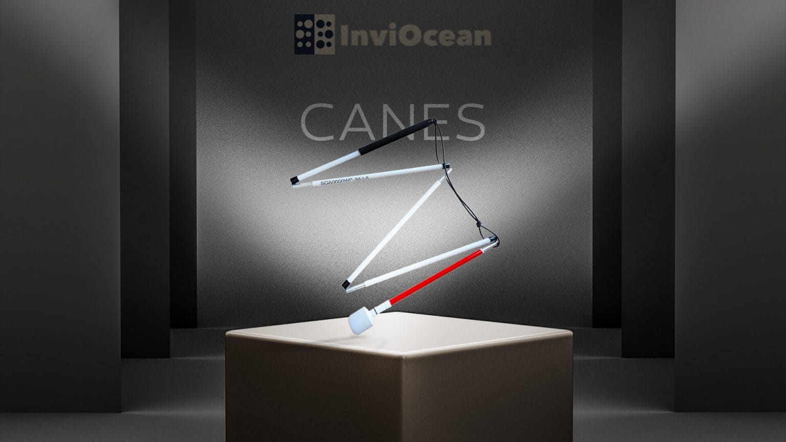 List of the Best Assistive Devices for the Blind - InviOcean