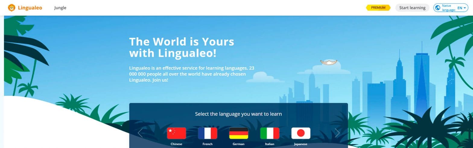 Lingualeo: Inaccessibility and Individual Learning Experience