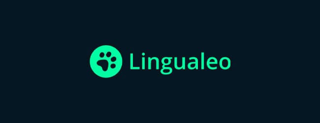 Lingualeo: Inaccessibility and Individual Learning Experience