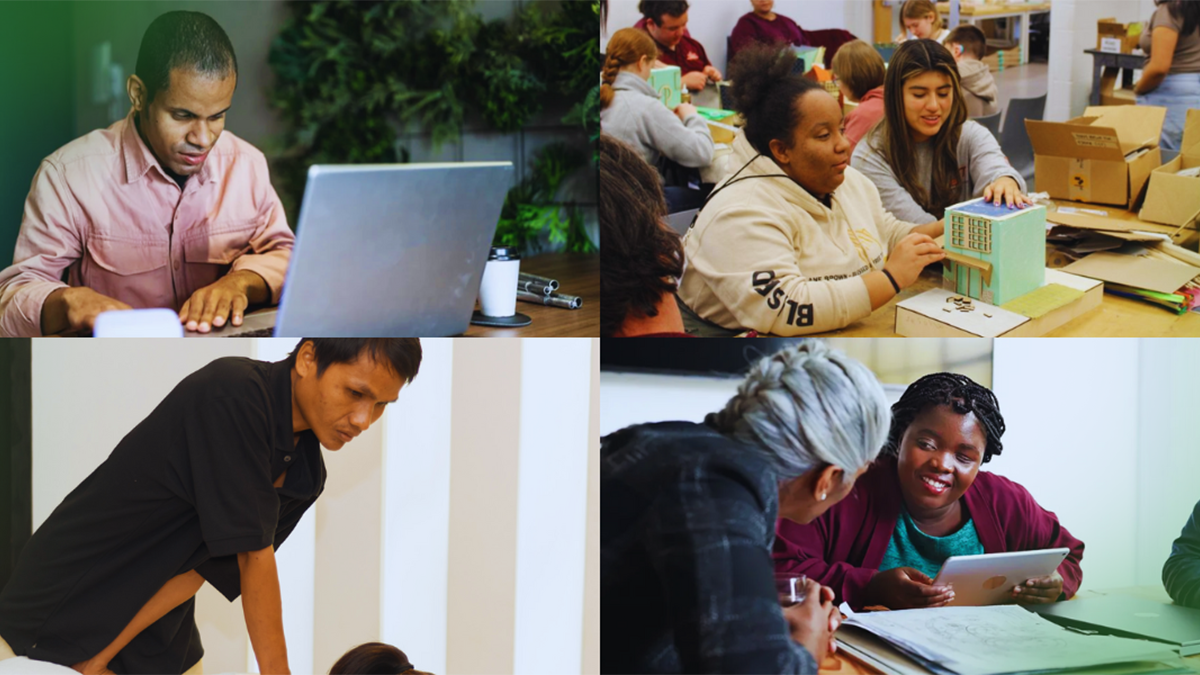 Strategies for Labor Inclusion of the Visually Impaired